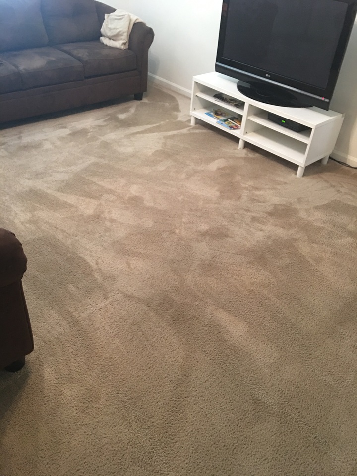 Residential Carpet Cleaning Photos - Gator Clean